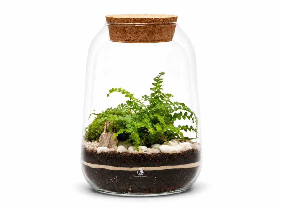 LED Cork Lid Available