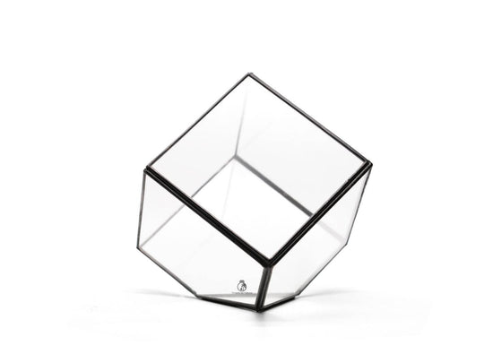 Terrarium Jar Wide Selection From Small to Large | Tropical Glass