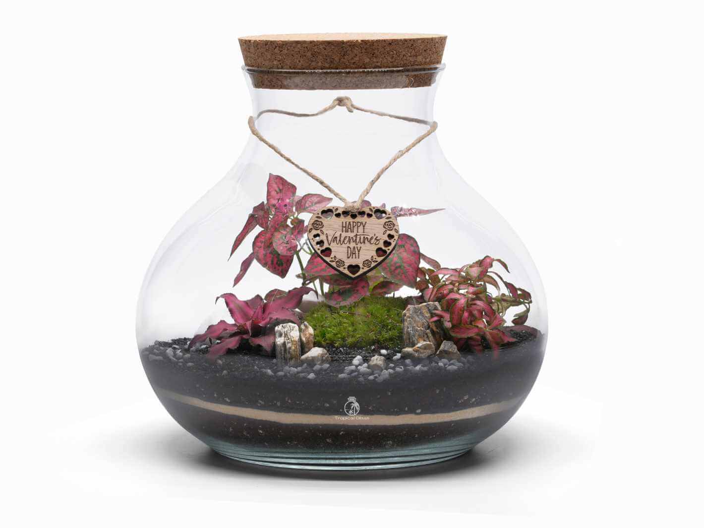 Valentine's DIY Terrarium Kit - A Unique Gift - Tropical Glass