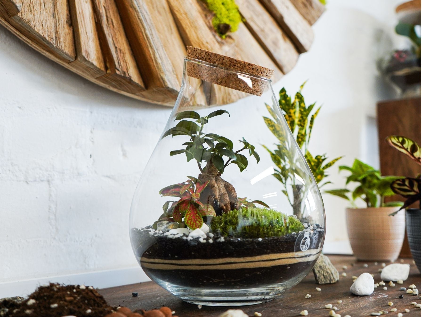 Terrarium Workshop - Saturday, 6 July 2024 | 2:00 pm - Tropical Glass