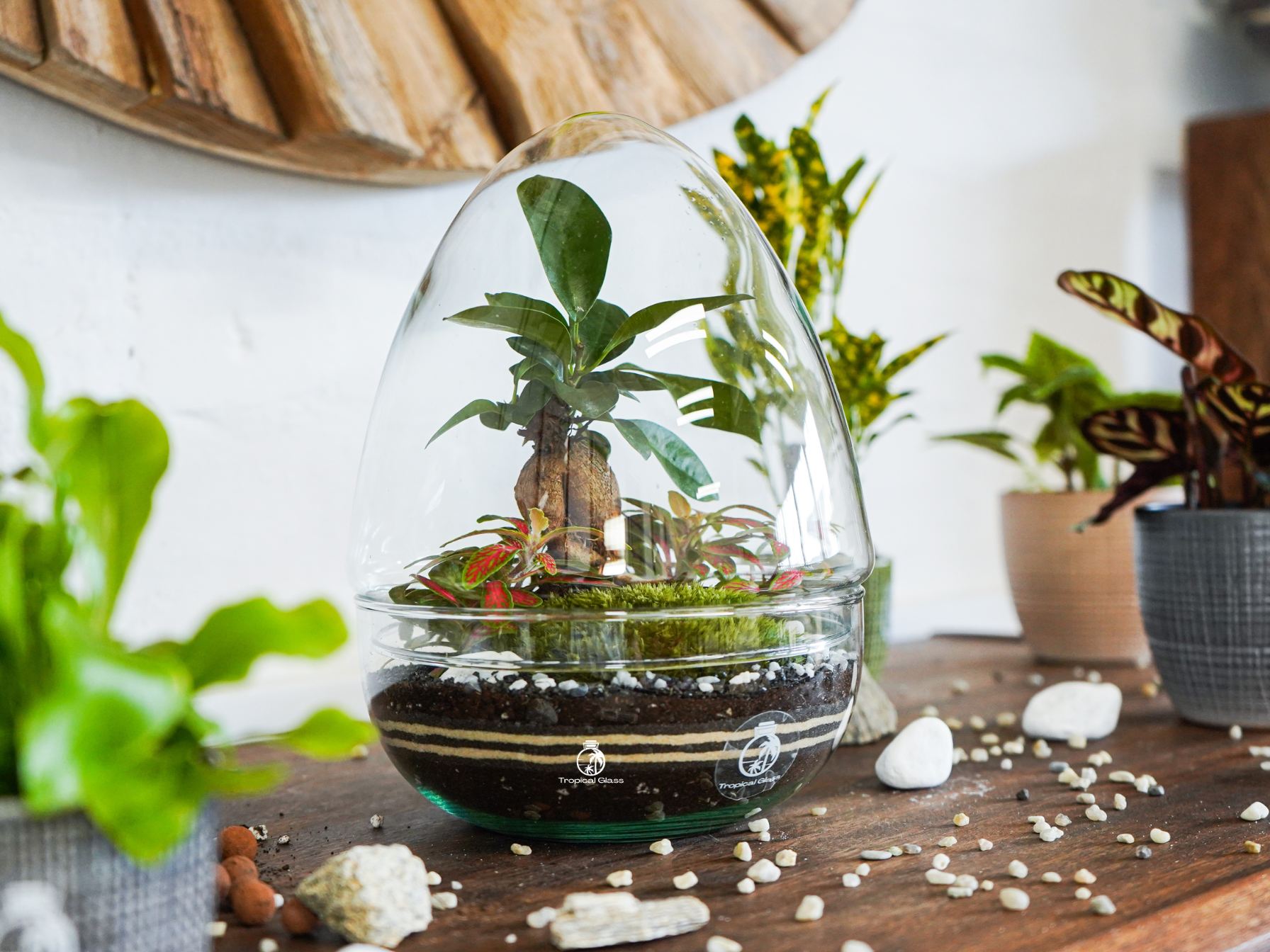 Terrarium Workshop - Saturday, 18 May 2024 | 2:00 pm - Tropical Glass