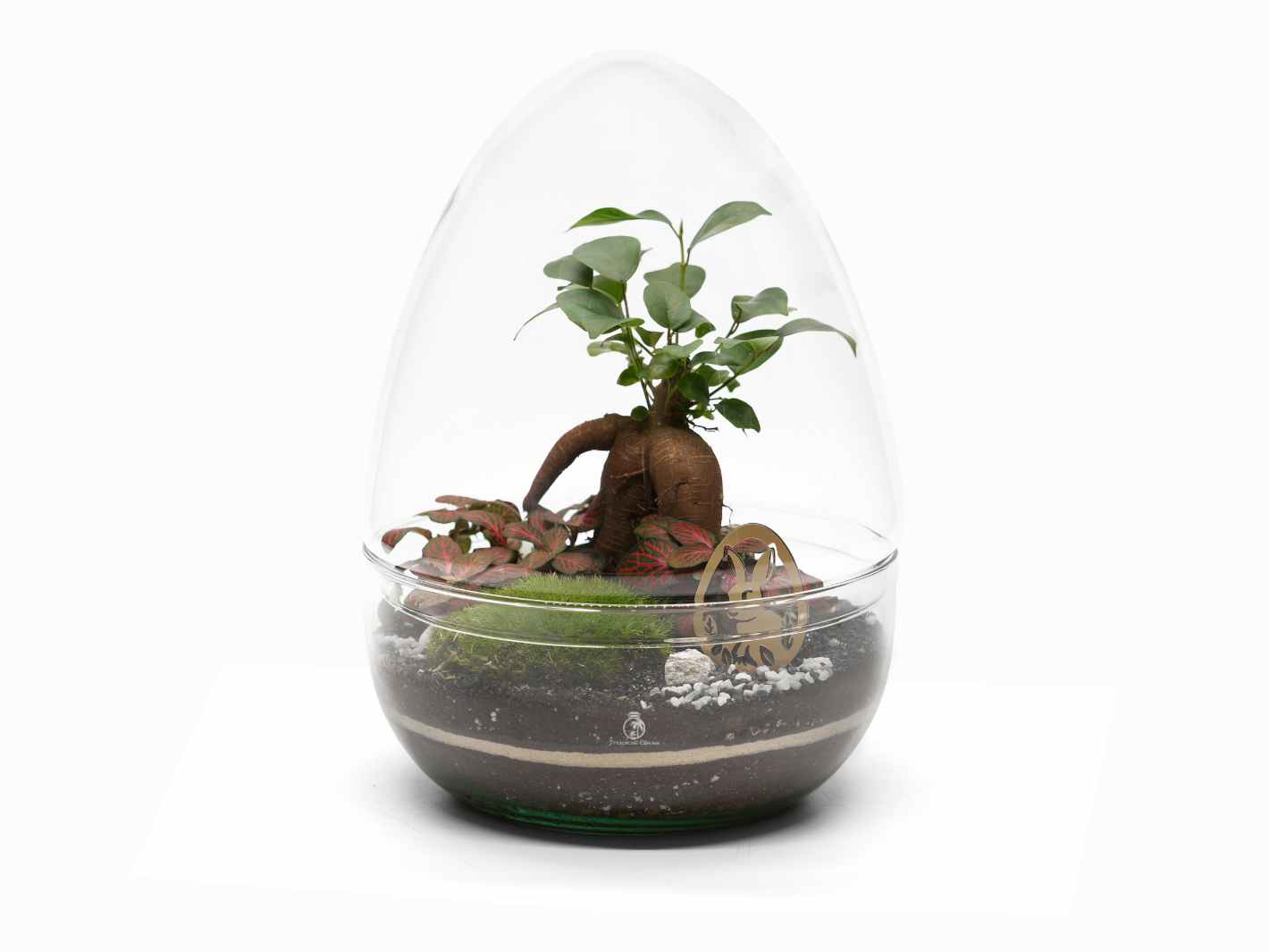 Easter Egg Terrarium Kit with Bunny Magic H: 26 – Tropical Glass