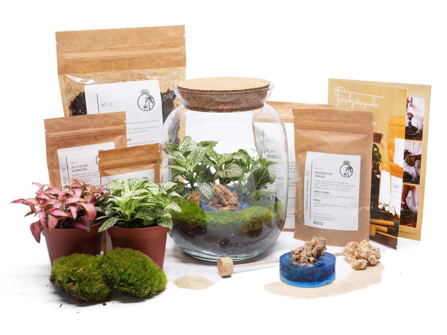DIY Terrarium Kit with Water Feature and Live Plants | Tropical Glass