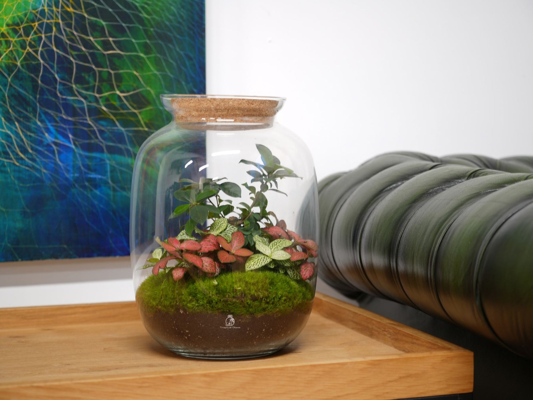 Ready-made terrarium 'Geneva' - UK Delivery - Tropical Glass
