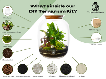 Complete DIY Terrarium Kit with LED Lid, Plants, Moss - Tropical Glass