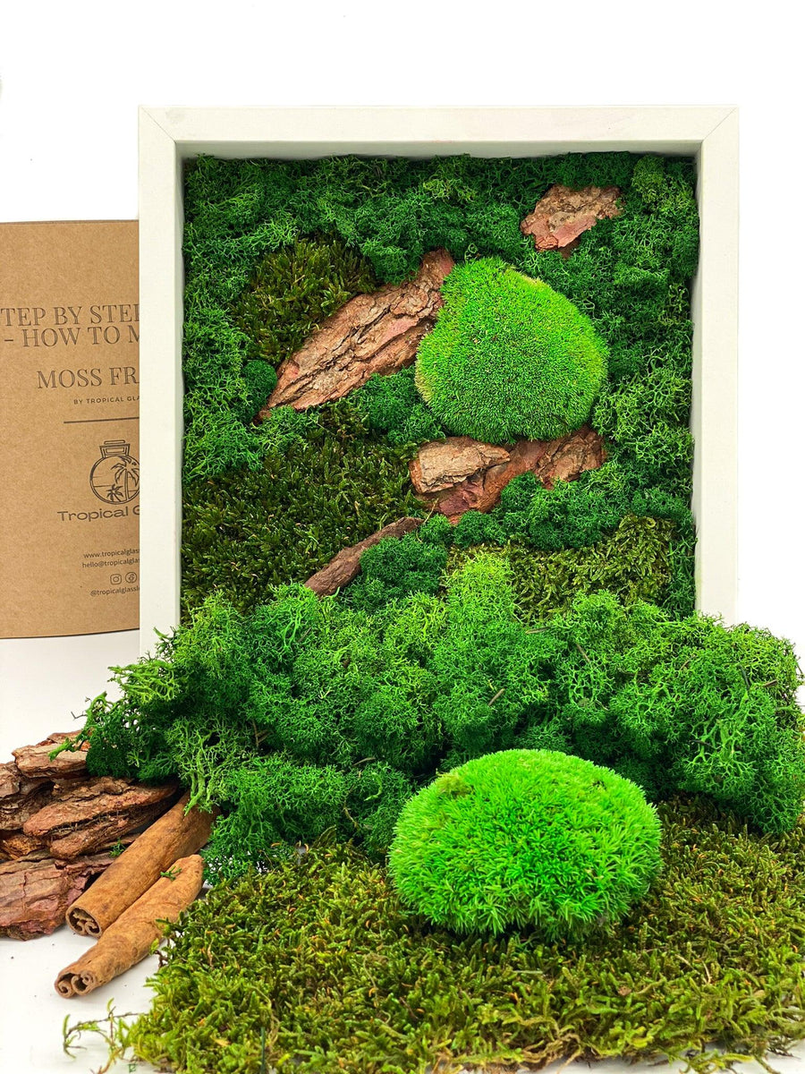 Large Moss Frame Wall Art UK - Tropical Glass