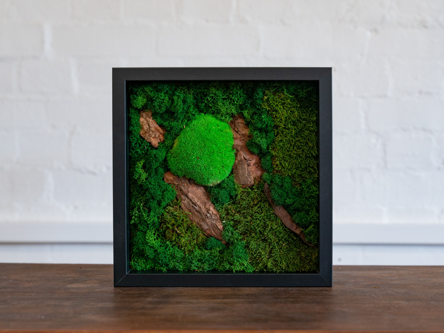 Large Moss Frame Wall Art UK - Tropical Glass