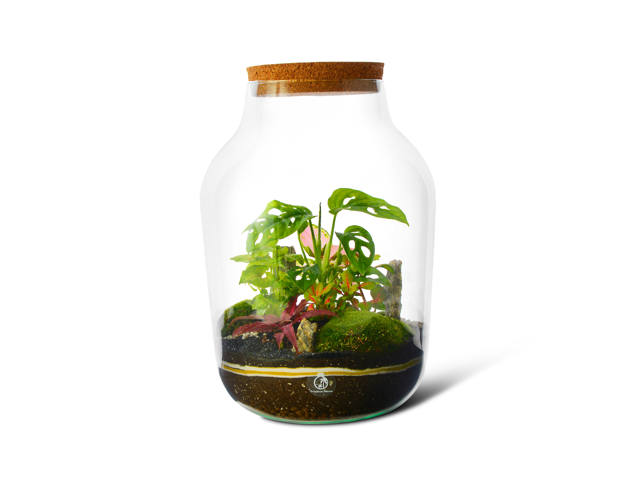 Large Closed DIY Terrarium Kit H: 37 cm | 'Panama' – Tropical Glass